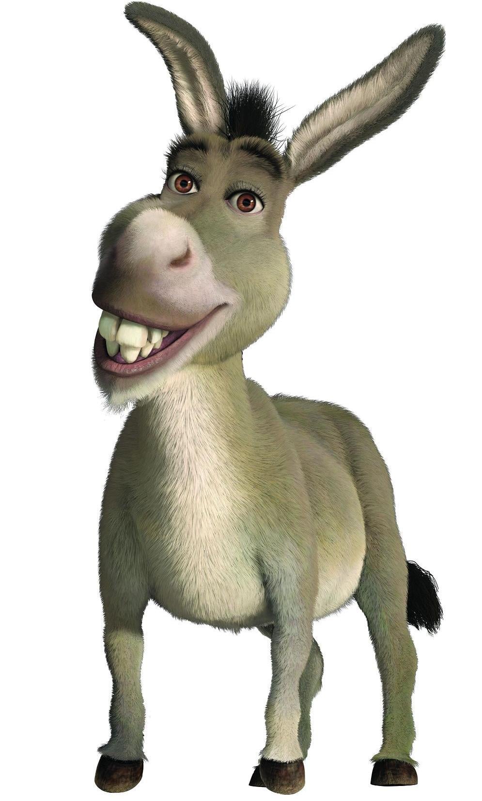 "Największe osły są we Wrocławiu" (Posłuchaj) - Radio RAM